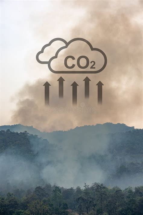 Los Incendios Forestales Provocados Por El Cambio Climático Liberan