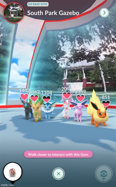 All Eeveelution Imgflip