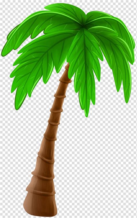 Tree Arecaceae Cartoon Coconut Tree Transparent Background PNG