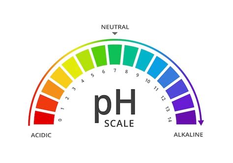 Diagrama De Escala De Ph Vetor Premium The Best Porn Website