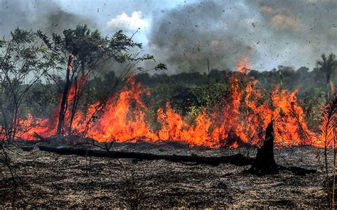 Queimada na Amazônia em junho é a maior dos últimos 13 anos