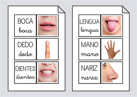 Ejercicio De Lectoescritura Global Partes Del Cuerpo Ii Images And