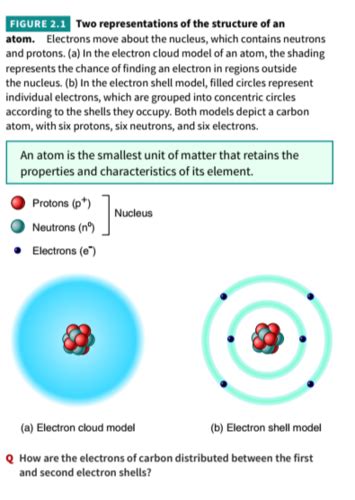 Structure Of Atoms Flashcards Quizlet