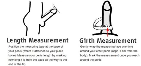 How To Measure The Size Of Your Penis Gay Ass