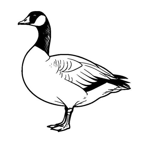 Vector de ganso gratis SVG Cortador láser K40