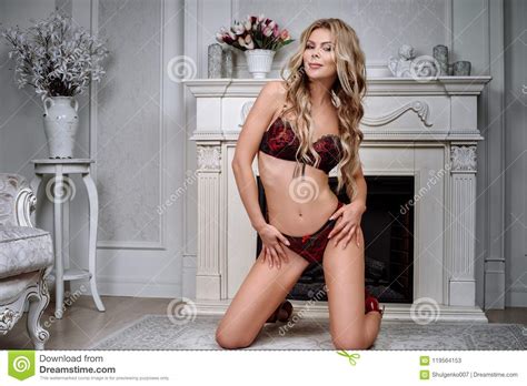 一件美丽的内衣的性感的妇女 演播室内部照片 美好的机体理想的妇女 库存图片 图片 包括有 愉快 白种人 119564153