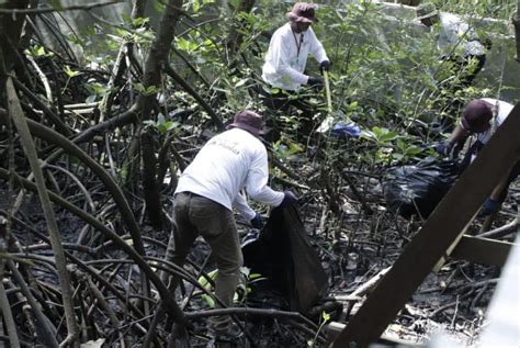 Dinas Perikanan Dan Kelautan Kaltim Gelar Gerakan Bersih Pantai Di