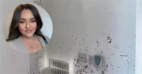 Woman Forced To Move Out Of Flat Due To Damp And Mould Issues Housing