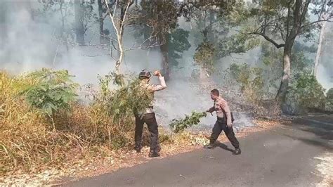 Kebakaran Hutan Lindung Egon Ilin Medo Sikka Terus Meluas Capai 40