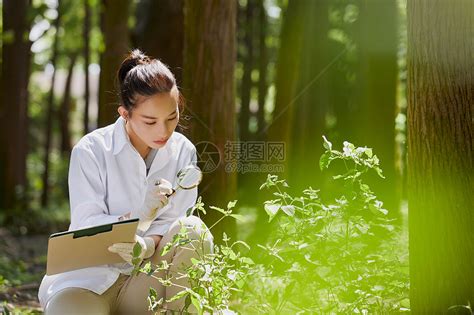 使用放大镜观察并记录植物的科学家高清图片下载 正版图片501803423 摄图网