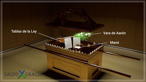 Contenido Del Arca Del Pacto Estúdio Bíblico Explicación Sitio De Dios