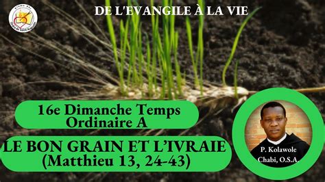 LE BON GRAIN ET LIVRAIE 16e Dimanche Du Temps Ordinaire A Matthieu