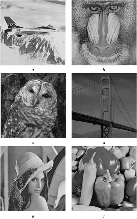 two reversible data hiding schemes for vq‐compressed images based on index coding rahmani
