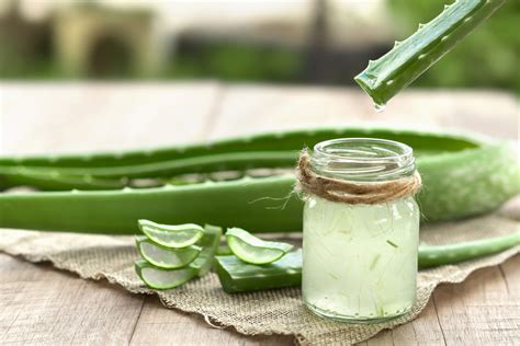 La sábila y sus beneficios Suplemento Natural