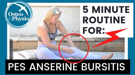 Our Full 5 Minute Guided Routine For PES ANSERINE BURSITIS YouTube