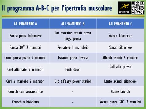 Scheda Palestra Massa Muscolare Esempi E Guida Pratica