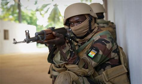 The Niger Coup And The Prospect Of ECOWAS Military Intervention An