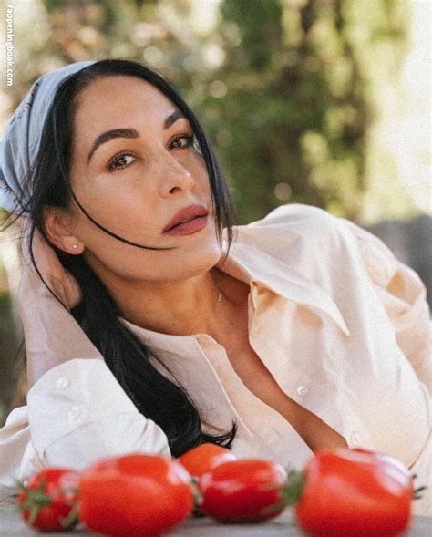 The Bella Twins Nude The Fappening Photo 6181132 FappeningBook