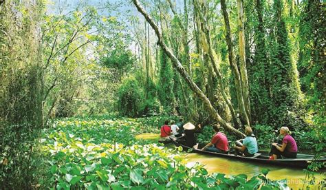 Du lịch Khu du lịch sinh thái Đồng Tháp Mười Huyện Vĩnh Hưng