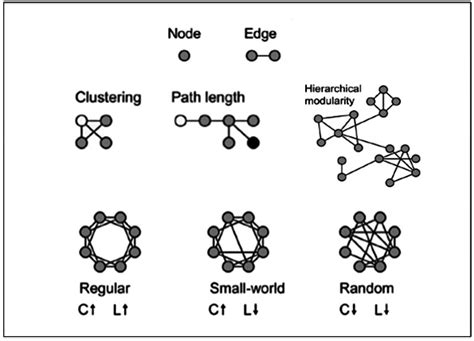 core measures of graph theory nodes and edges clustering coefficient download scientific