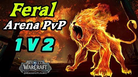 World Of Warcraft Feral Druid V Arena Skirmish Pvp Dragonflight