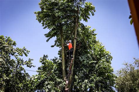 Protección Civil de El Salvador on Twitter Nuestro