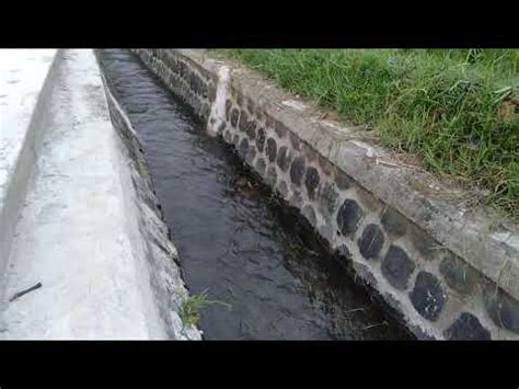 Dijual Sawah View Gunung Sejuk Aer Berlimpah Sumedang