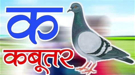 ka se kabutar a se anar k se kabutar kha se khargosh क स कबतर