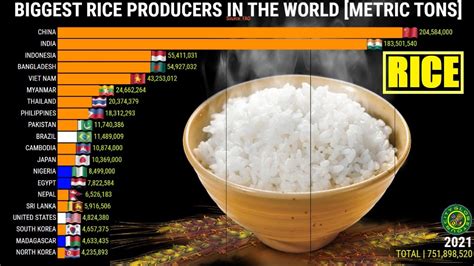 These Visuals Show The World S Biggest Rice Producers Off