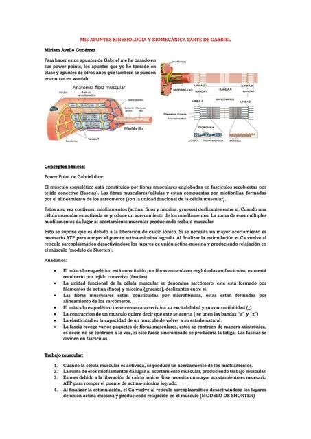 Principios Basicos De La Biomecanica Miriam Avello Udocz