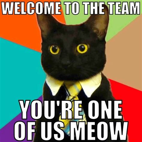 Of The Best Welcome To The Team Memes Perkup
