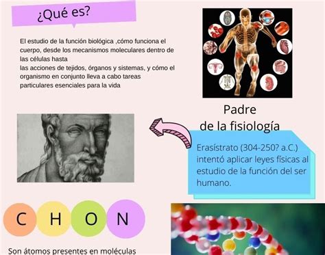 2 Introducción a fisiología básica