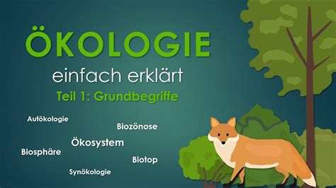 1 Grundbegriffe ÖKOLOGIE einfach erklärt YouTube