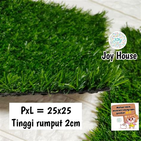 Jual Rumput Sintetis Swiss 25x25 Tebal 2cm Artificial Grass Shopee