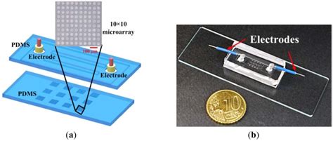 A Schematic Diagram Of The Proposed Microfluidic Chip For