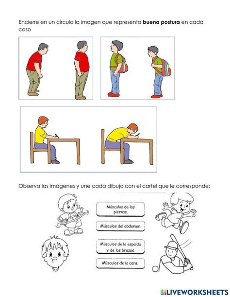 Worksheets Comics Body Human Body Systems Good Posture Muscles Of