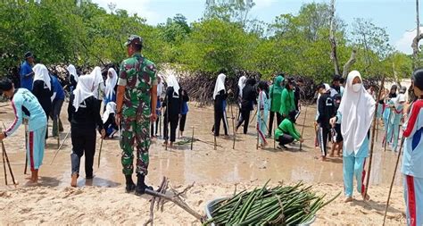 Jaga Abrasi Pantai Siswa SMKN 1 Moro Bersama TNI Tanami Mangrove Di