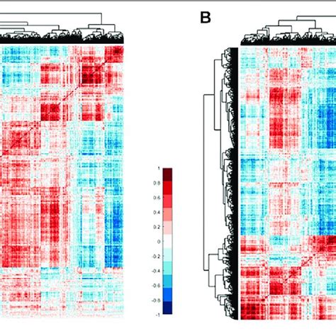 Heat Map Of Immune Gene Correlation Matrix Clustering A
