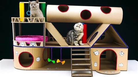 Diy Cardboard Cat House Ideas That Your Cat Will Love