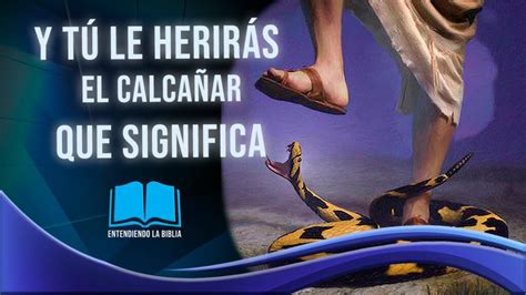 Que Significado Tiene La Palabra Calcanar En La Biblia 2024
