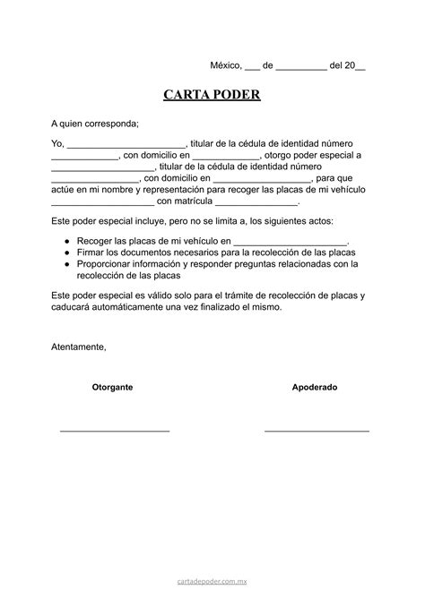 Carta Poder Simple Para Recoger Placas Ejemplos
