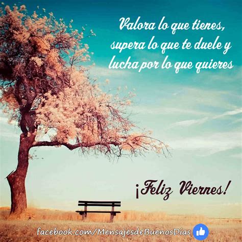 Descubrir 58 Imagen Buen Dia Bonito Viernes Viaterra Mx