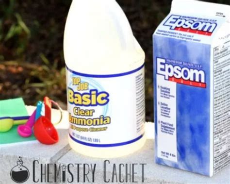 10 Best Homemade Plant Fertilizers A Cultivated Nest