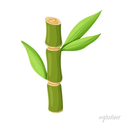 Life Cycle Of A Plant Baamboozle Baamboozle The Most Fun Classroom Games