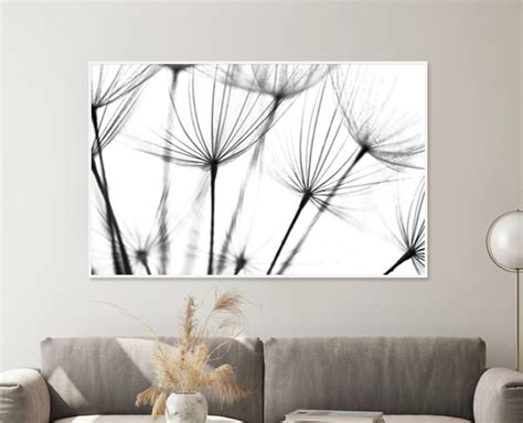 Quadro Dente de Leão Preto e Branco Moderno Elo7