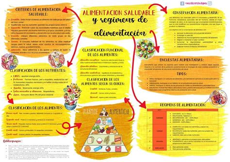 Arriba Imagen Mapa Mental Alimentacion Saludable Abzlocal Mx