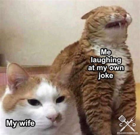 Two Cats Sitting Next To Each Other With Caption Saying Me Laughing At My Own Joke
