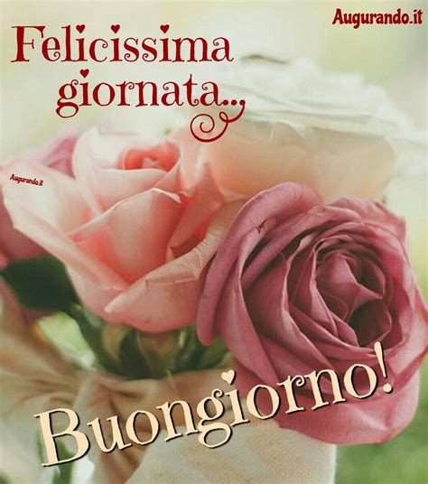 Immagini buongiorno le più belle e originali le trovi qui