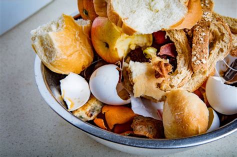 Desperd Cio Alimentar Dicas Para Reduzir A Quantidade De Alimentos