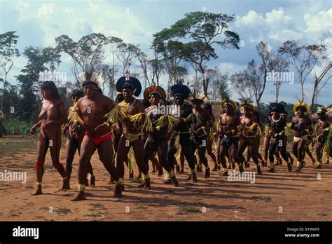 Xingu Women Hi Res Stock Photography And Images Alamy